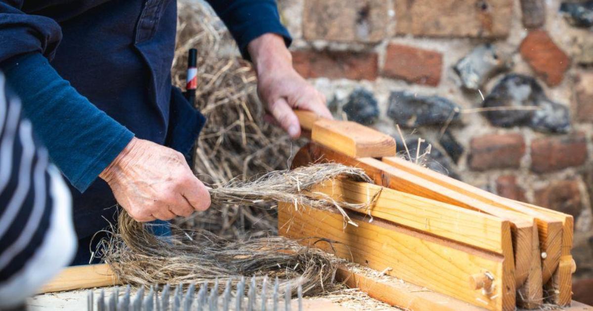 The Flax and Fleece Project - Norfolk Museums Service